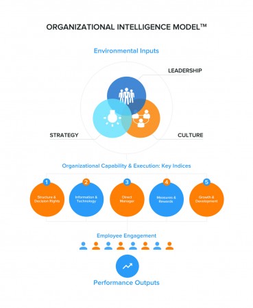 Organizational Intelligence Surveys: A Smarter Workforce Survey ...