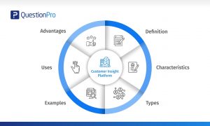Customer Insight Platform: Definition, Types and Uses with Examples ...