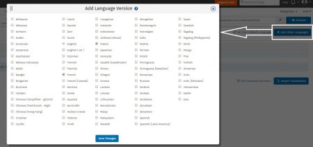 Overcome language barriers with Multilingual (multilanguage) Surveys ...