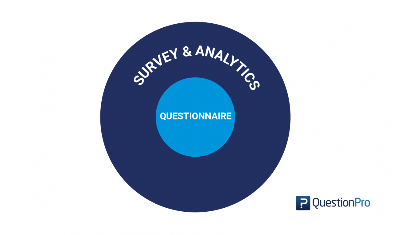 Questionnaire Vs Survey: Is There A Difference?