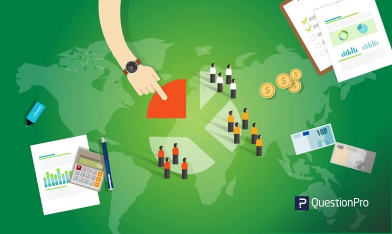 What are Demographic Examples | QuestionPro