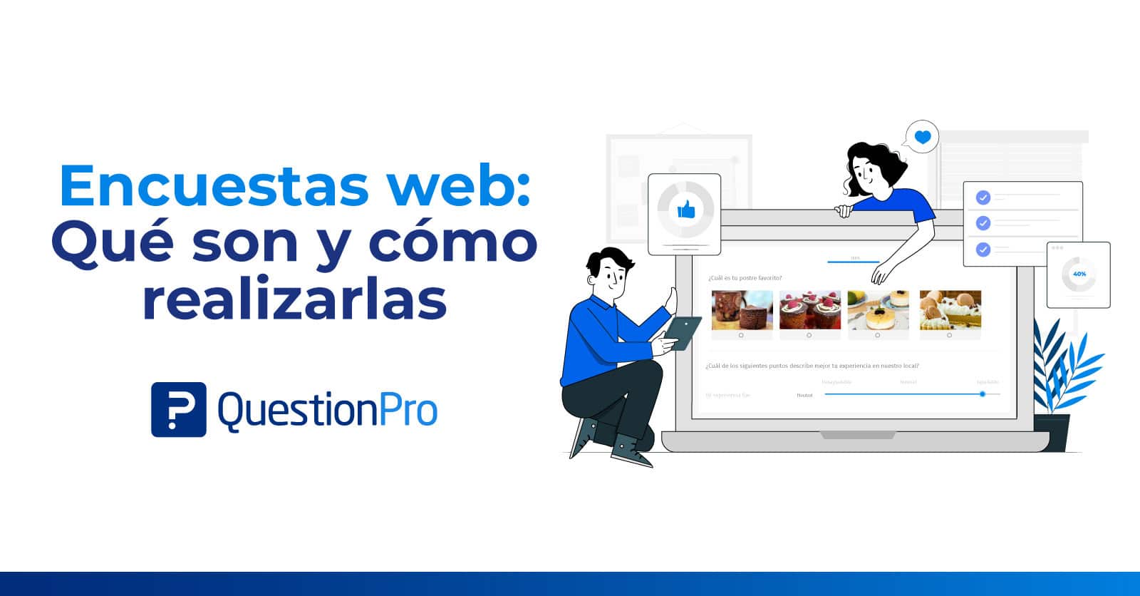 ¿Qué son las encuestas web?