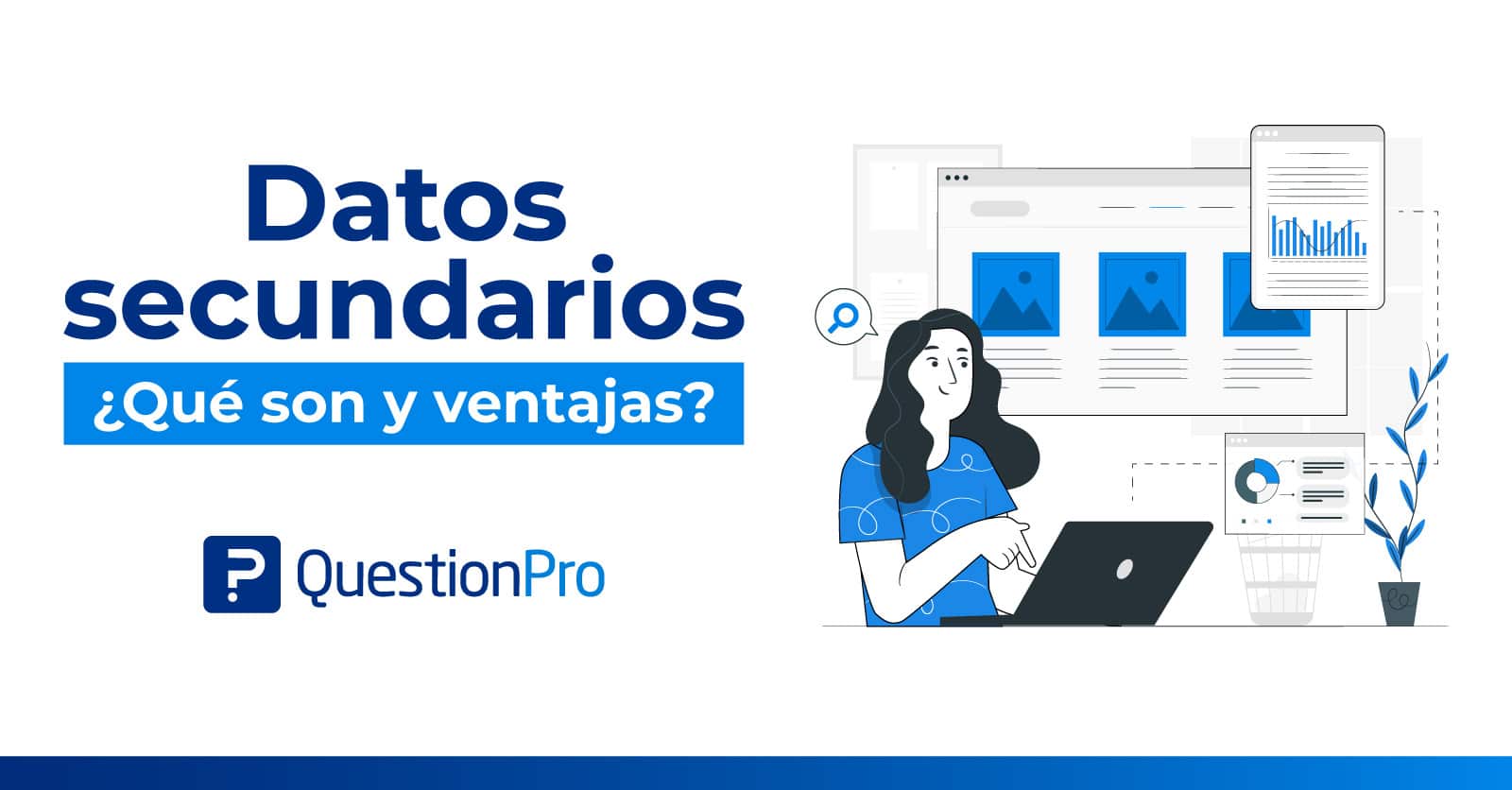 ¿Qué son los datos secundarios?
