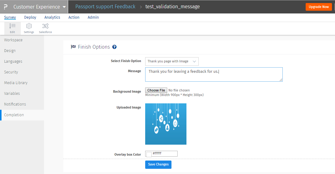 CX - Finish Options | QuestionPro Knowledge Base