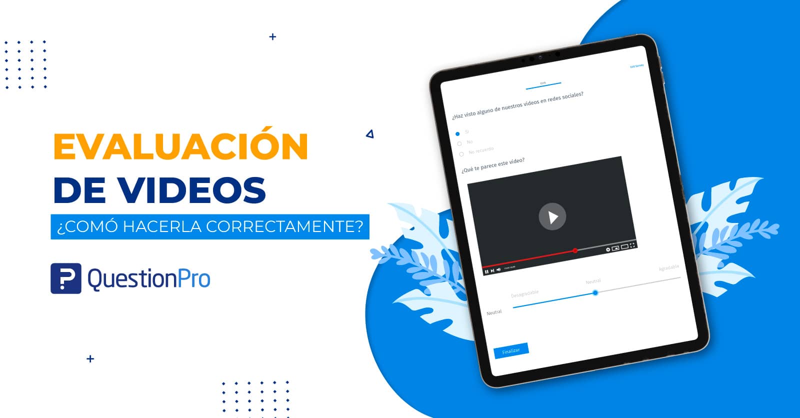 Evaluación de videos: ¿Cómo hacerla correctamente?