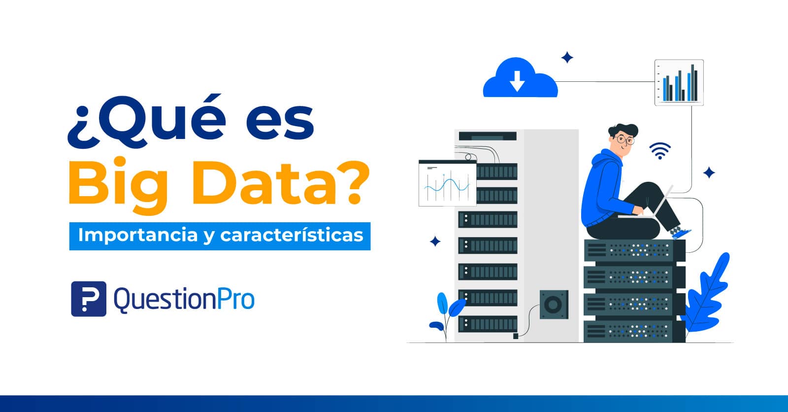 ¿Qué es Big Data? | QuestionPro